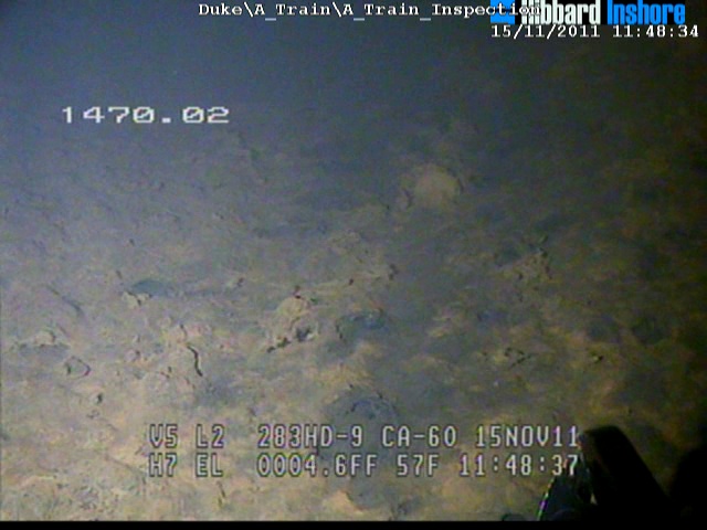 Nuclear Power Plant Cooling Water Intake Inspection